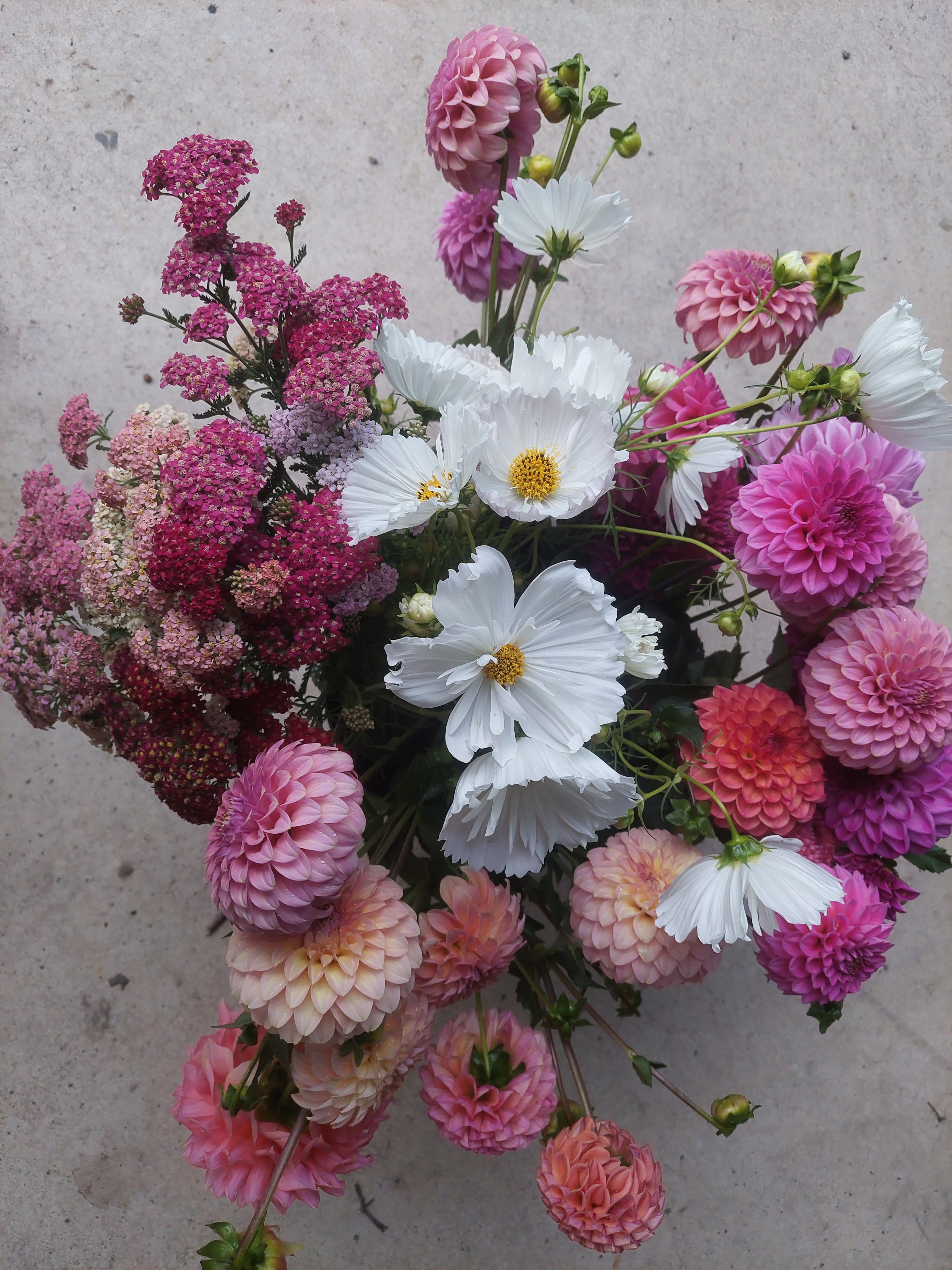 Otway Flower Farm
